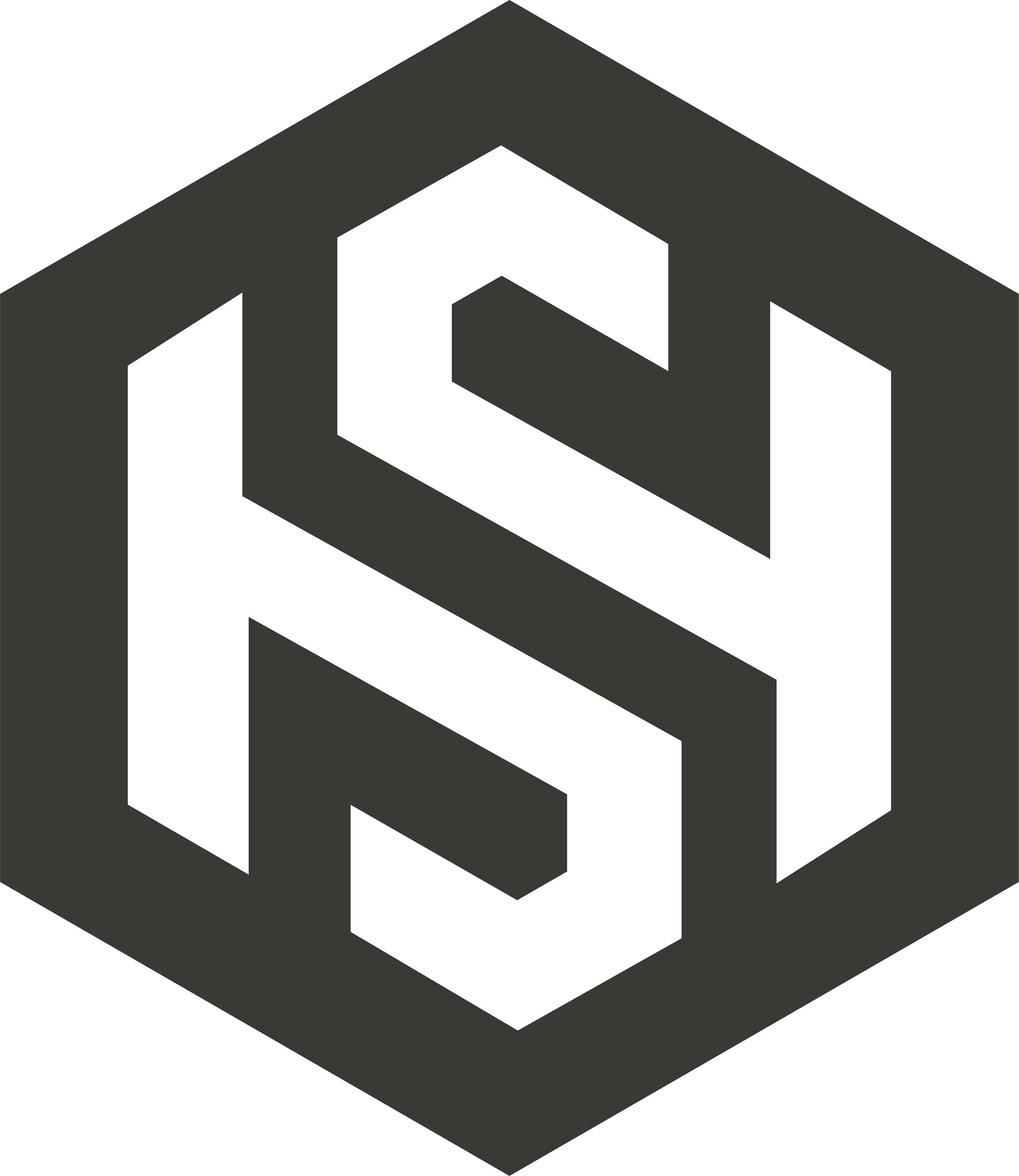 HS Investment Home&Security